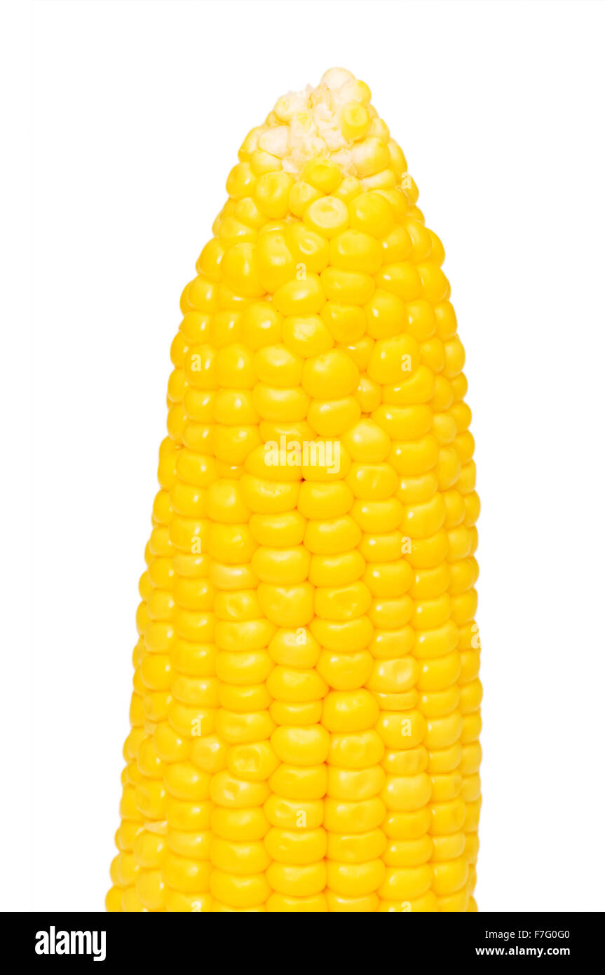 Corn cob isolated on the white background Stock Photo - Alamy