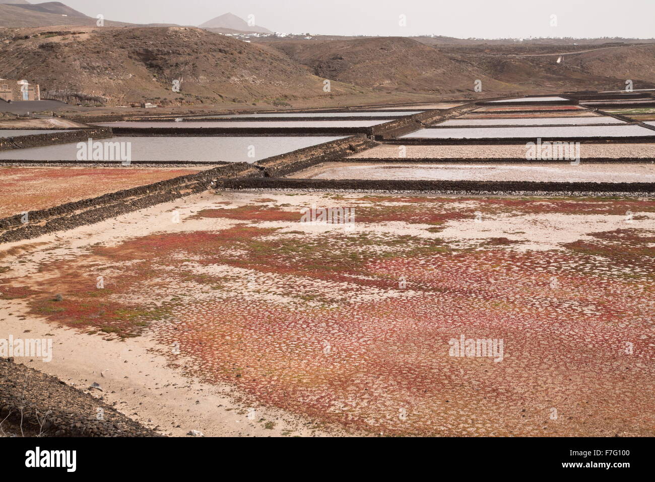 Active salt ponds hi-res stock photography and images - Alamy