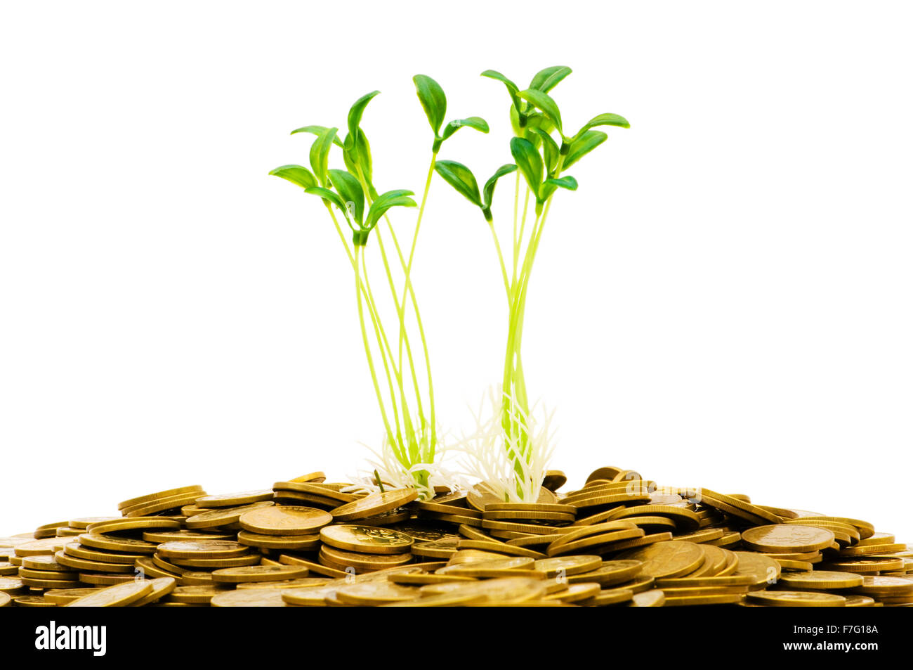 Green seedlings growing from the pile of coins Stock Photo - Alamy