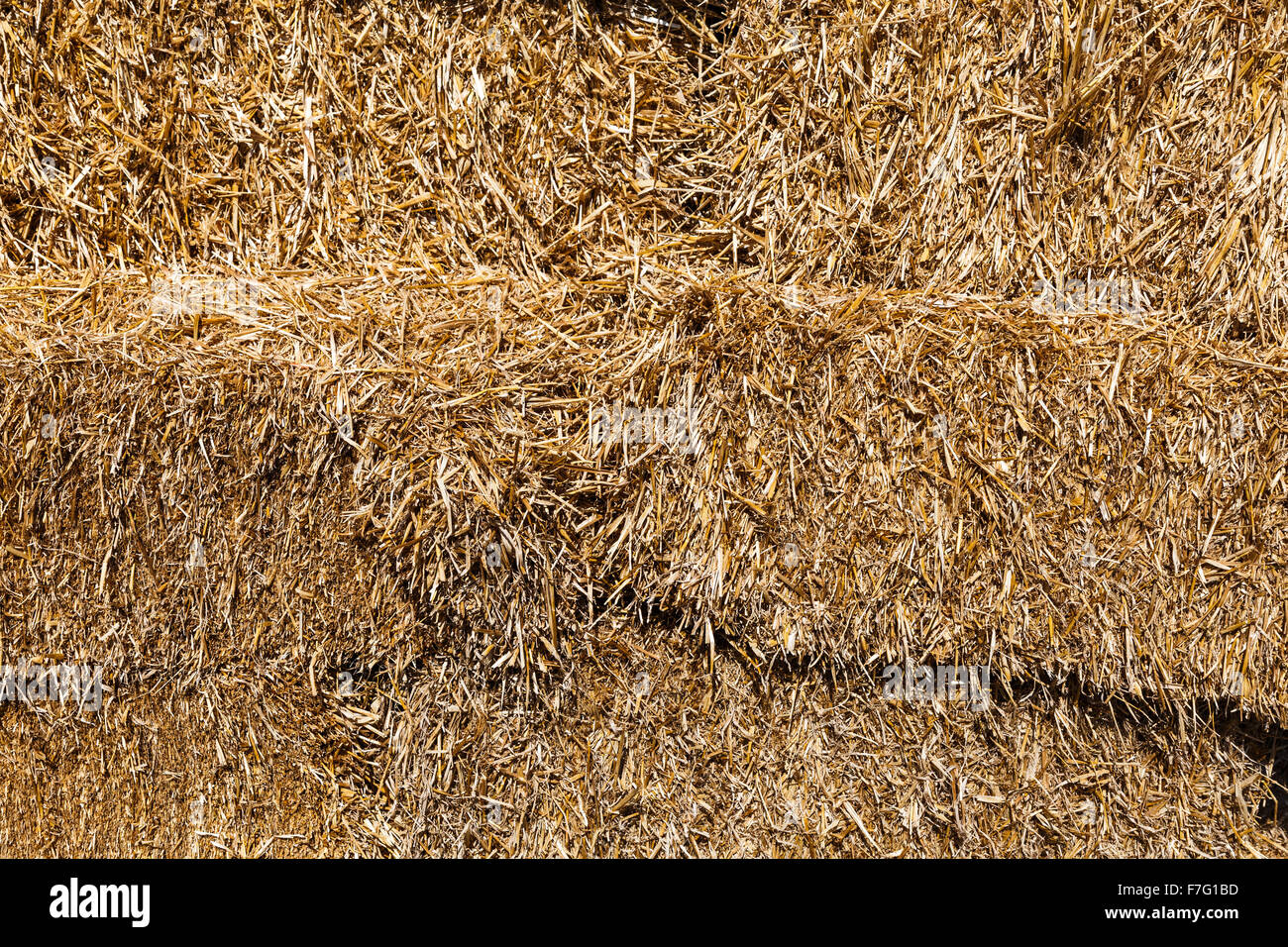 haystack close up shot for background Stock Photo - Alamy