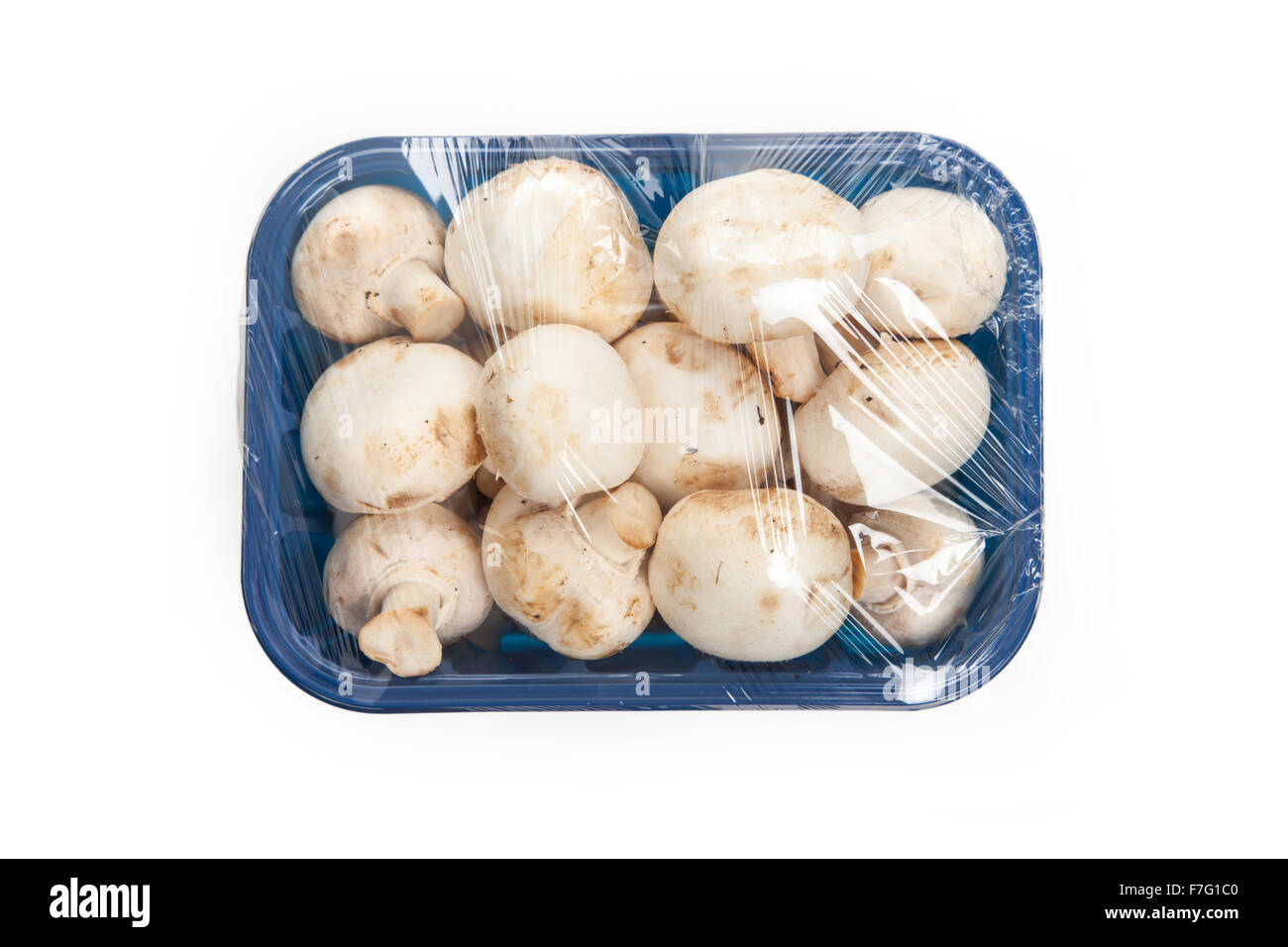 Mushrooms in blue plastic box isolated on white background Stock Photo ...