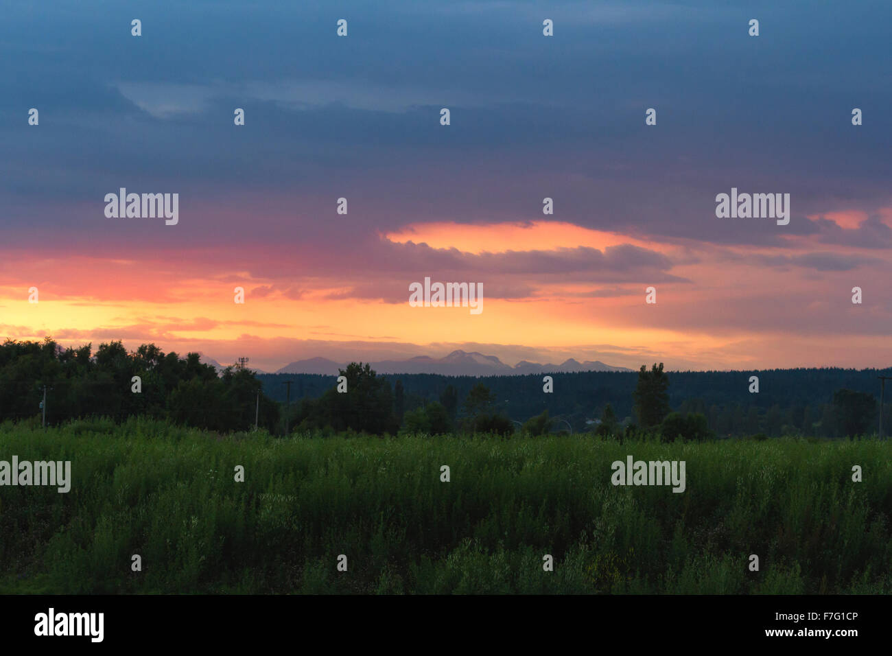 Golden glow in sky hi-res stock photography and images - Alamy