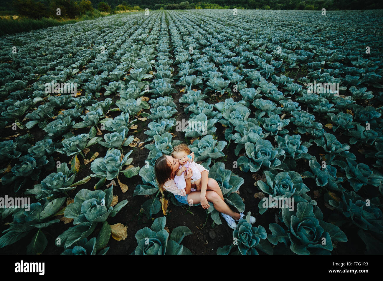 Mother and daughter on the field with cabbage Stock Photo - Alamy