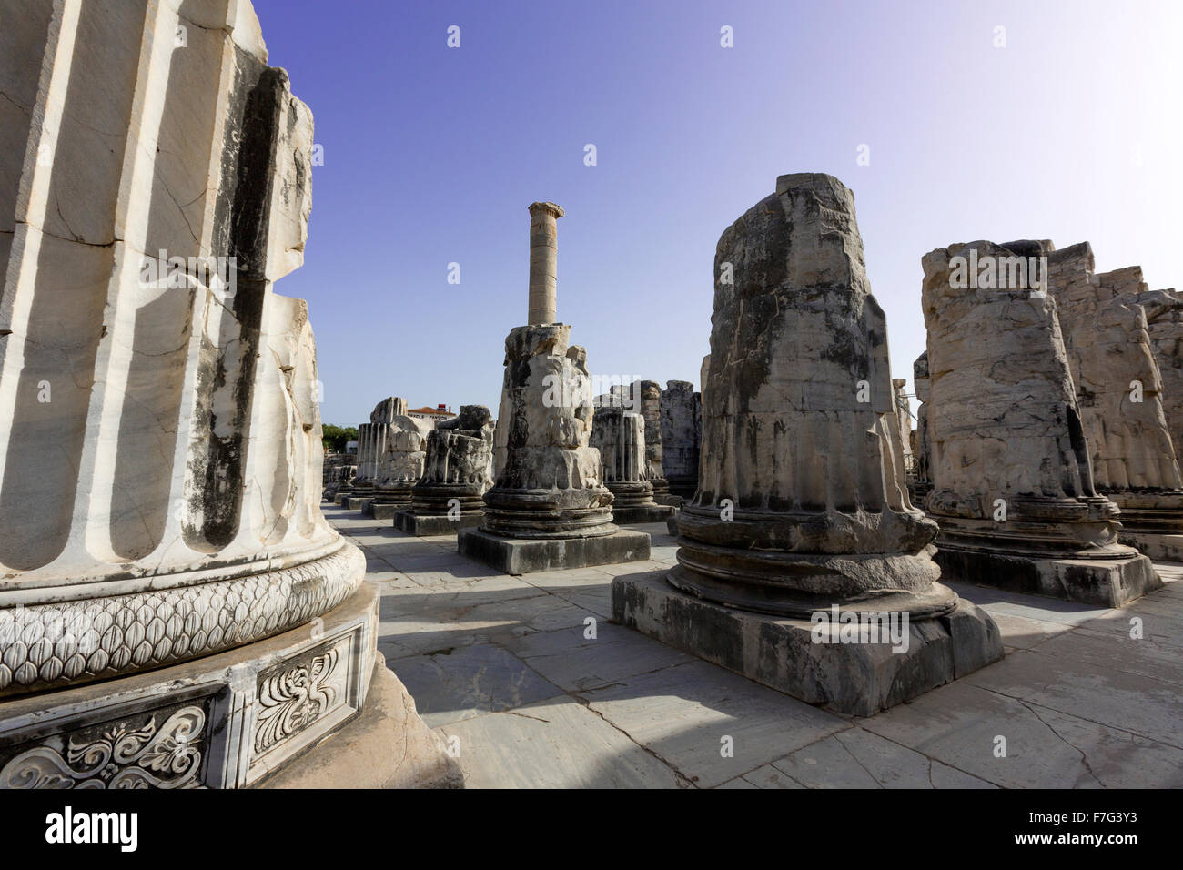 The ruins of the Temple of Apollo at Didyma, an ancient Greek sanctuary ...