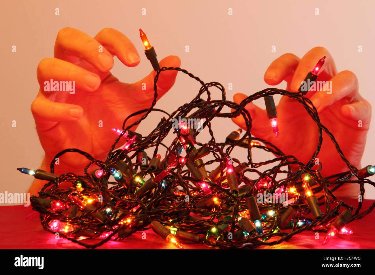 Christmas Hang The Lights Tangled