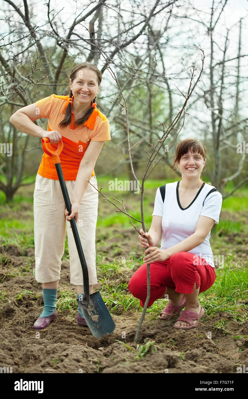 Happy women planting fruit tree at orchard in spring Stock Photo - Alamy
