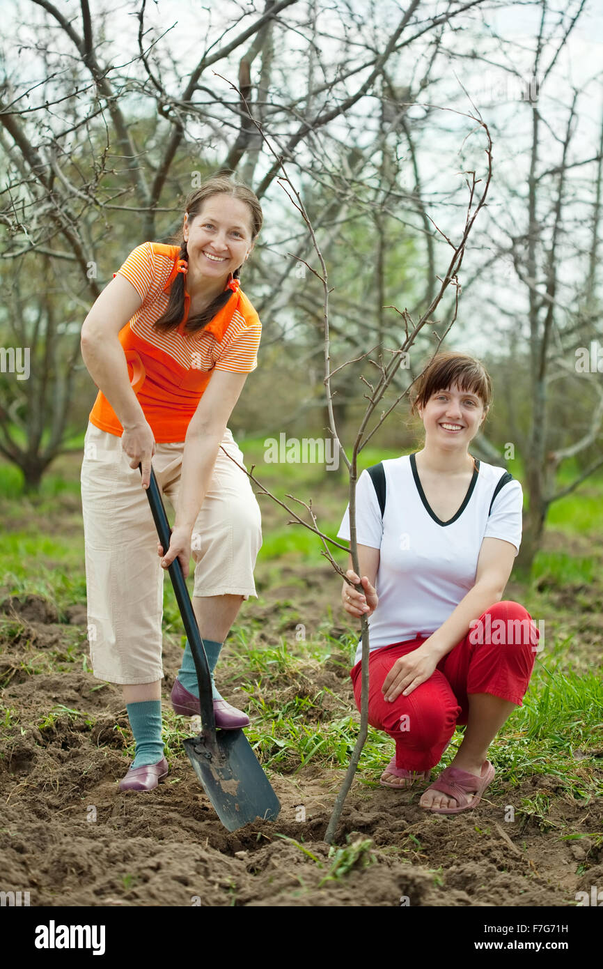 Happy women planting fruit tree at orchard in spring Stock Photo - Alamy