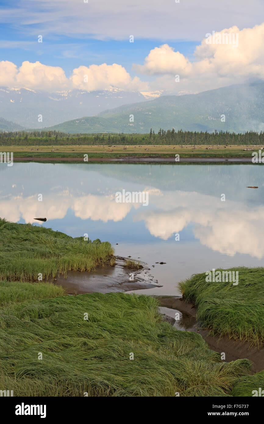 Minette Bay and Kitimat river estuary, Kitimat, British Columbia Stock ...