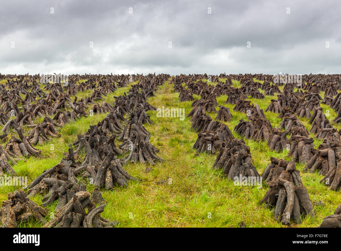 Turf fire hi-res stock photography and images - Alamy