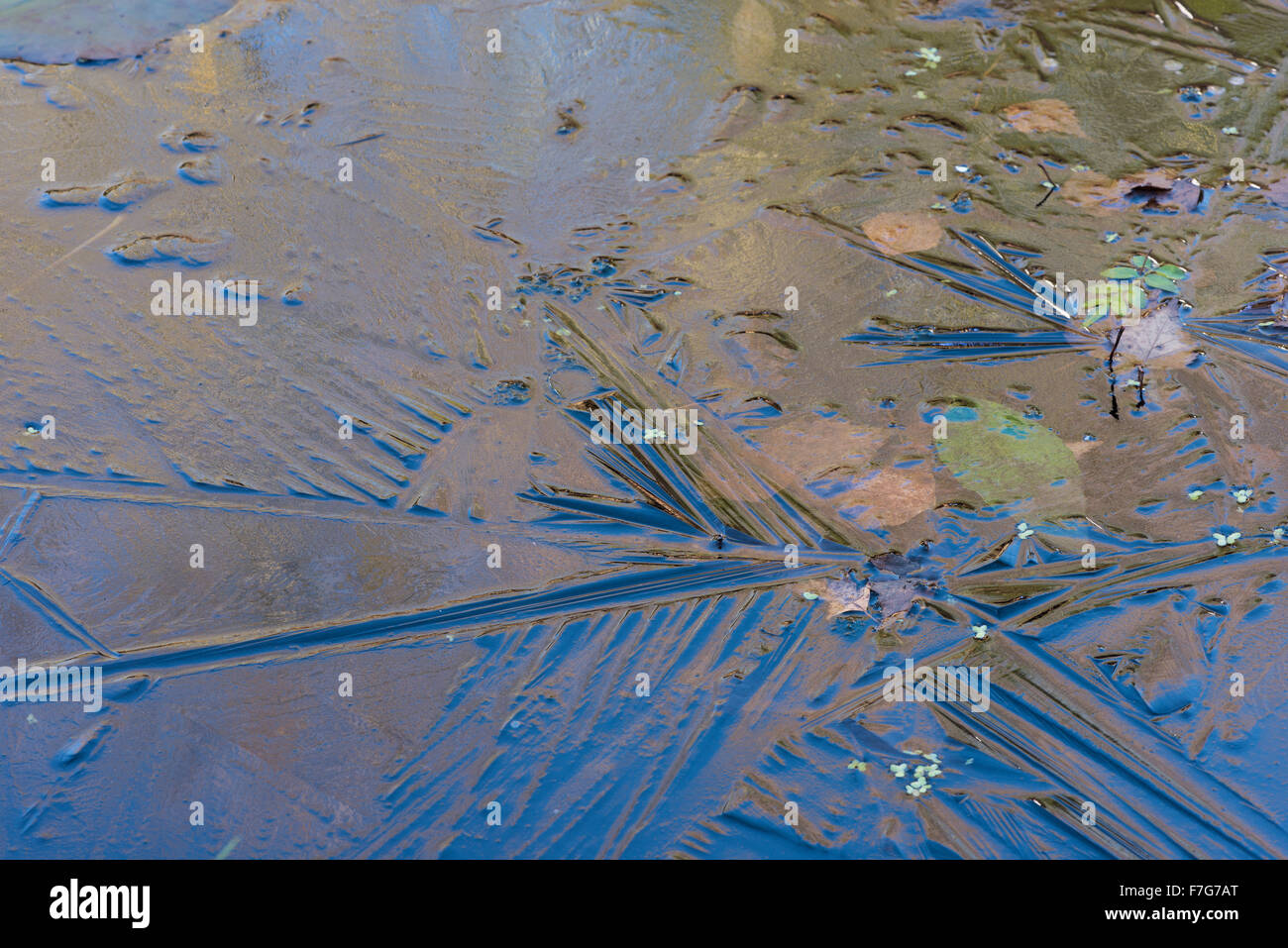stress and crystal growth of thin ice sheet surface of lake with blue ...