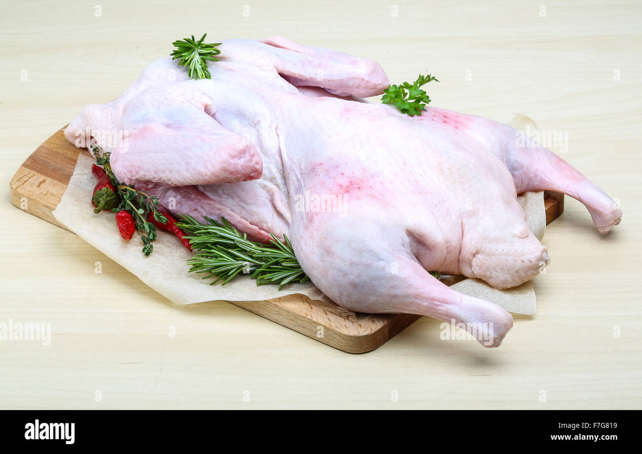 Raw duck with rosemary and spices - ready for cooking Stock Photo - Alamy