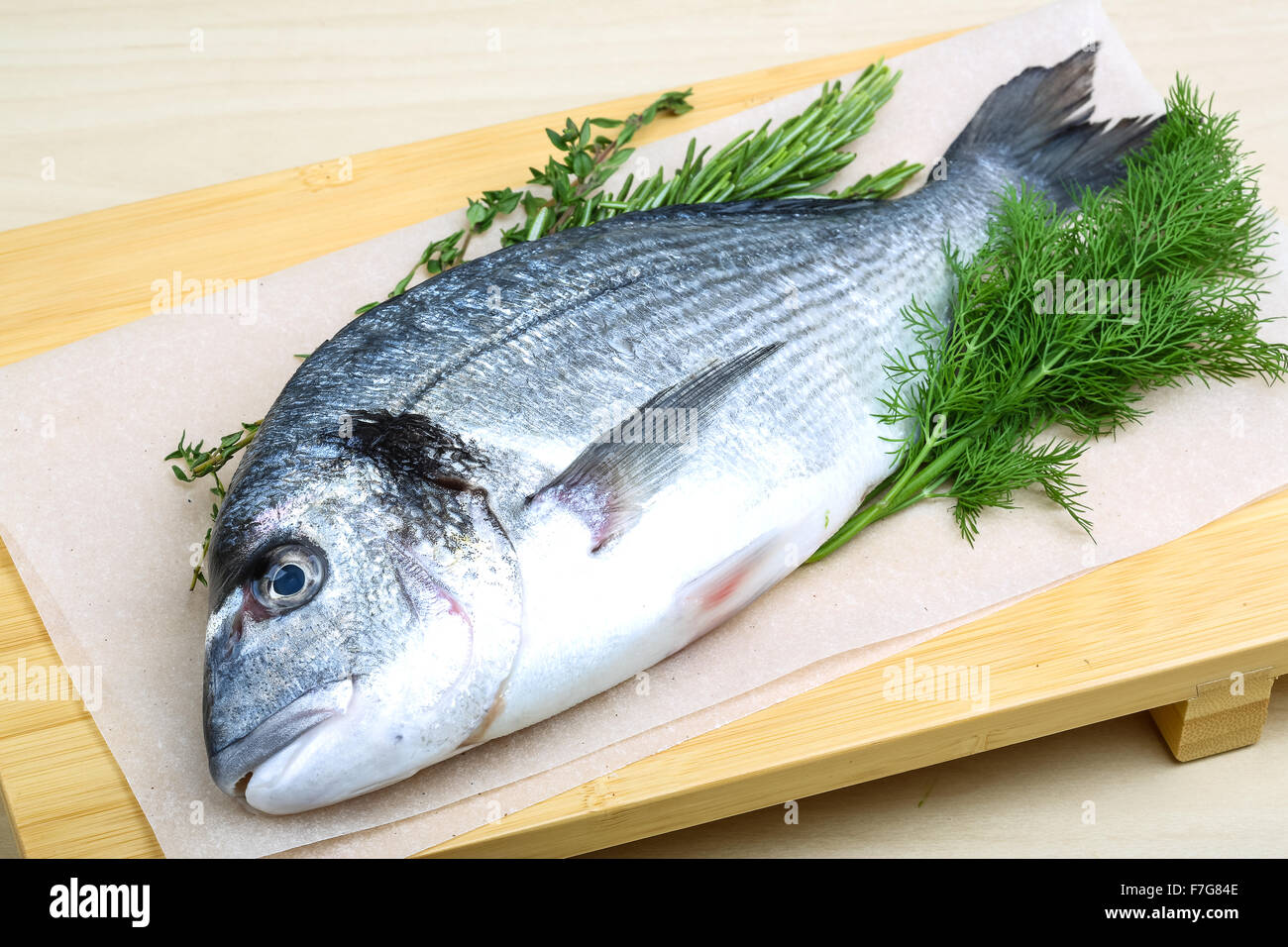 Raw dorado fish with dill, rosemary and thyme Stock Photo - Alamy