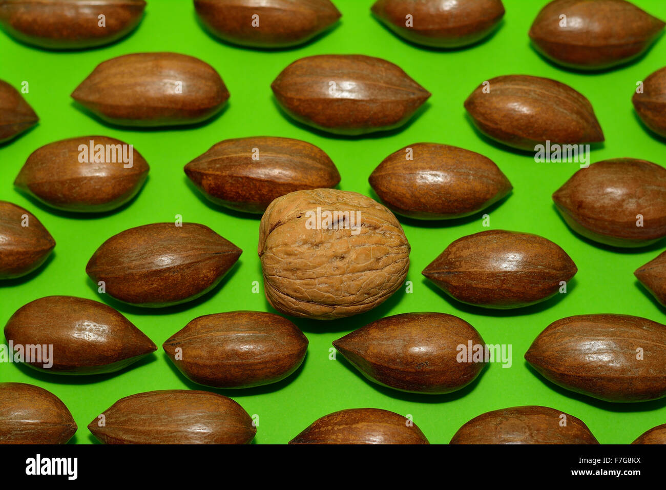 single walnut surrounded by pecan nuts on green Stock Photo - Alamy