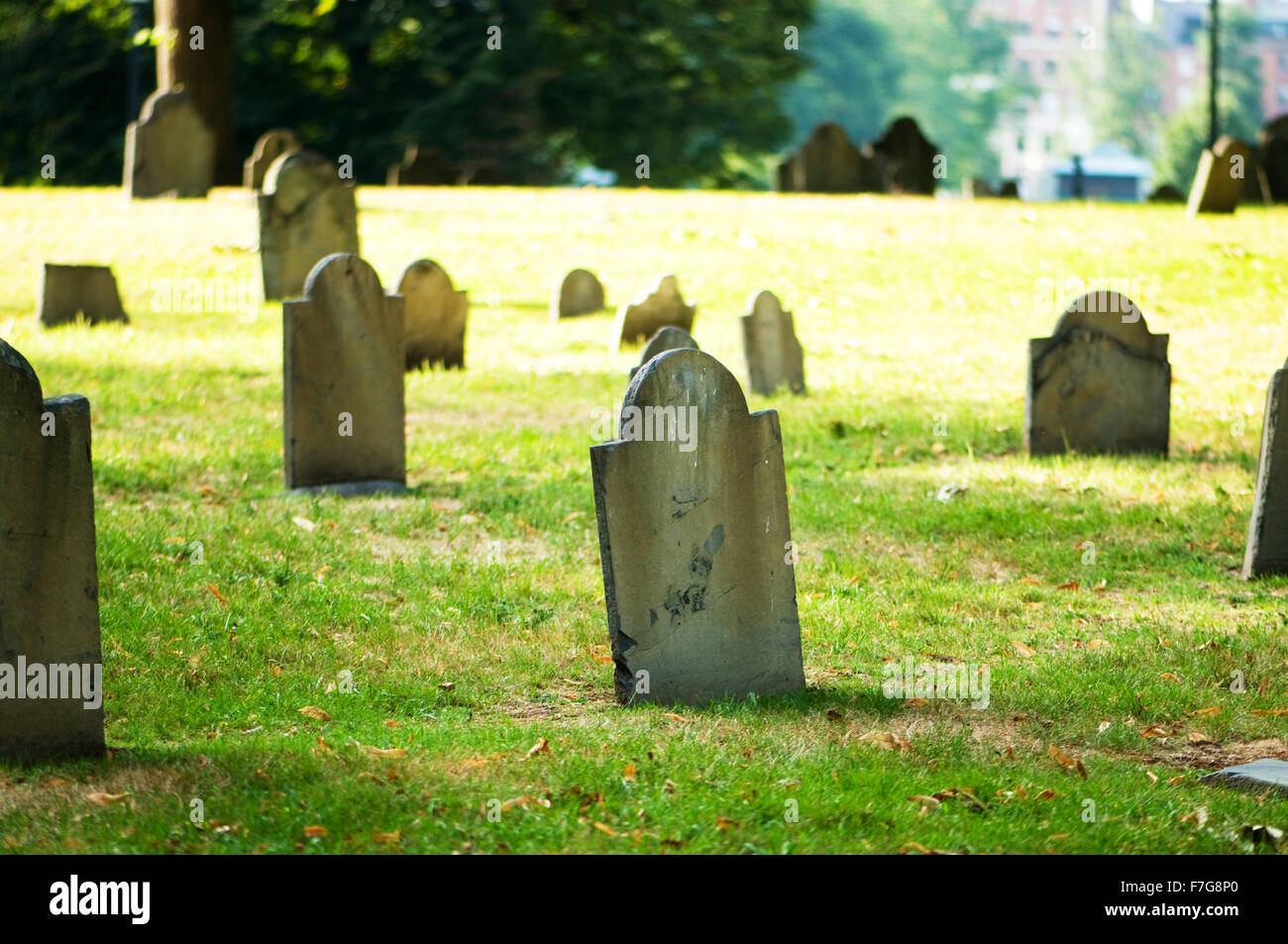 Cemetery with many tombstones on the bright day Stock Photo - Alamy