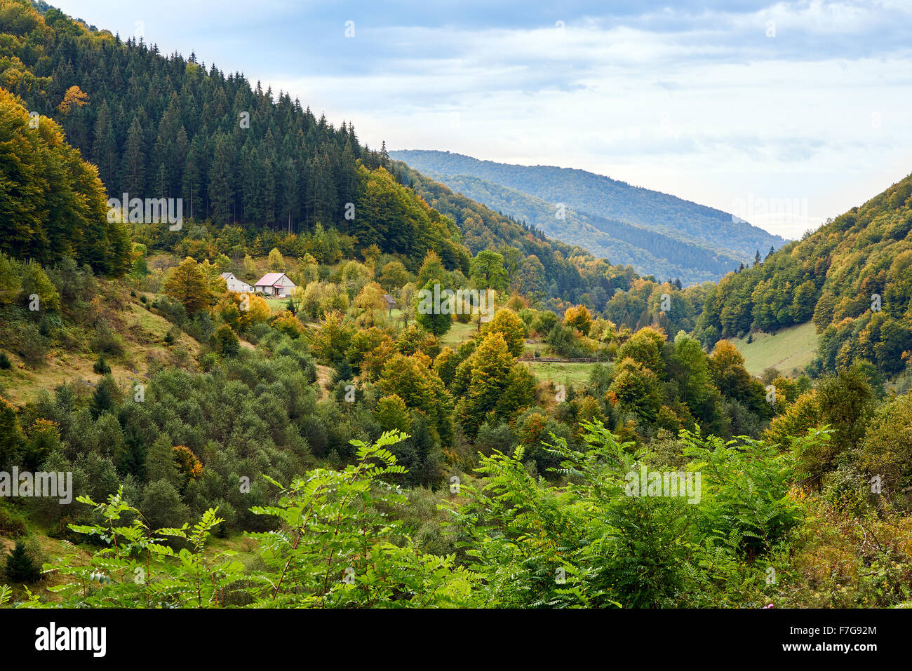 Mountain country village landscape with clouds and forest. Alps Stock ...