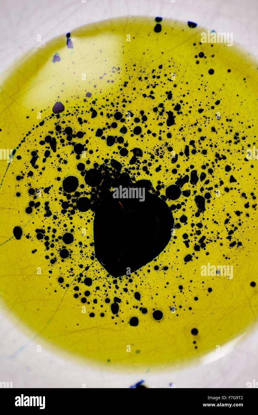 A studio photo of food coloring in oil Stock Photo - Alamy
