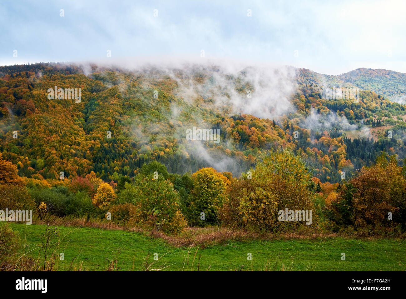 Mountain landscape with clouds and colorful trees. Alps Stock Photo - Alamy
