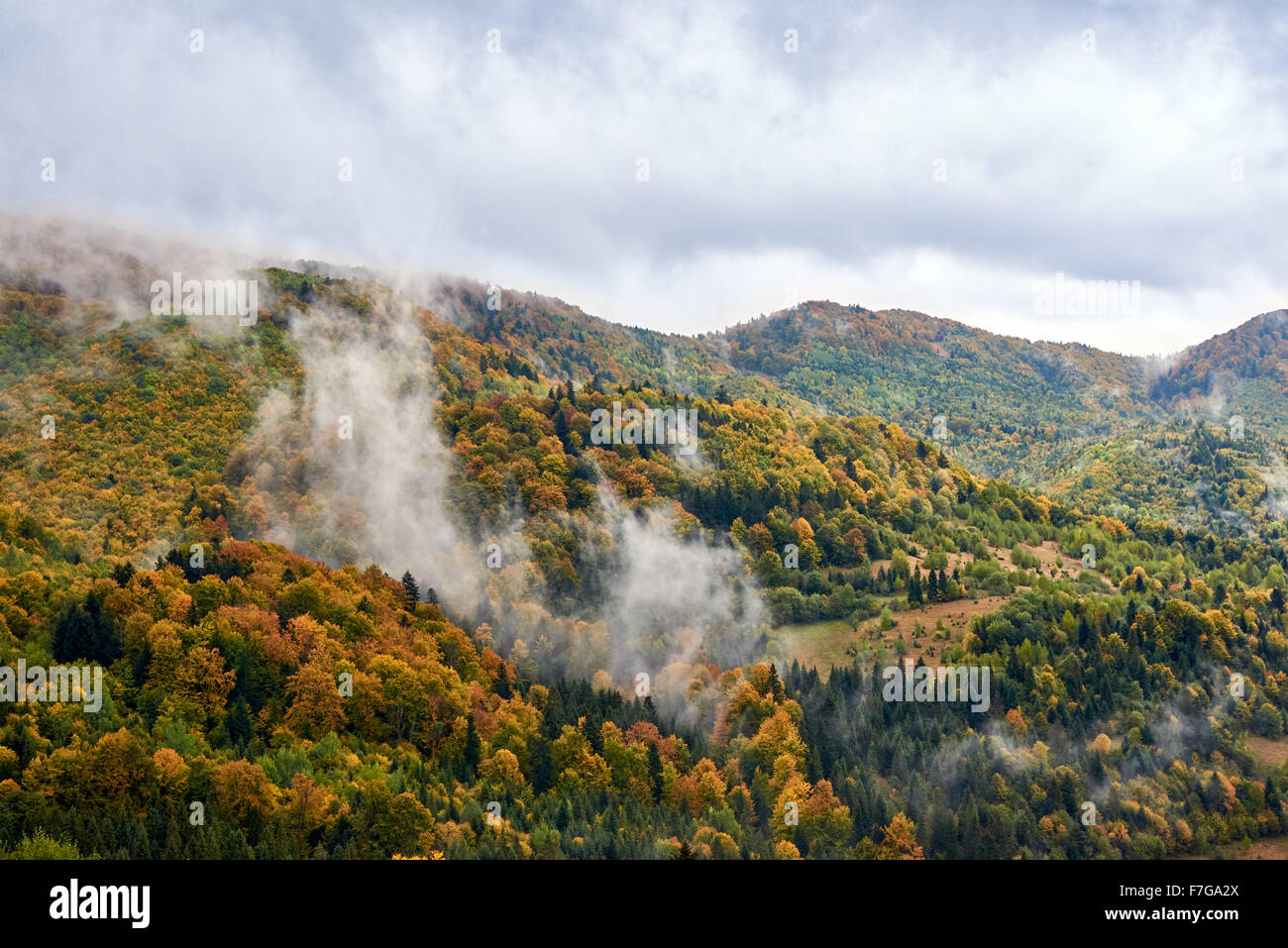 Mountain landscape with clouds and colorful trees. Alps Stock Photo - Alamy