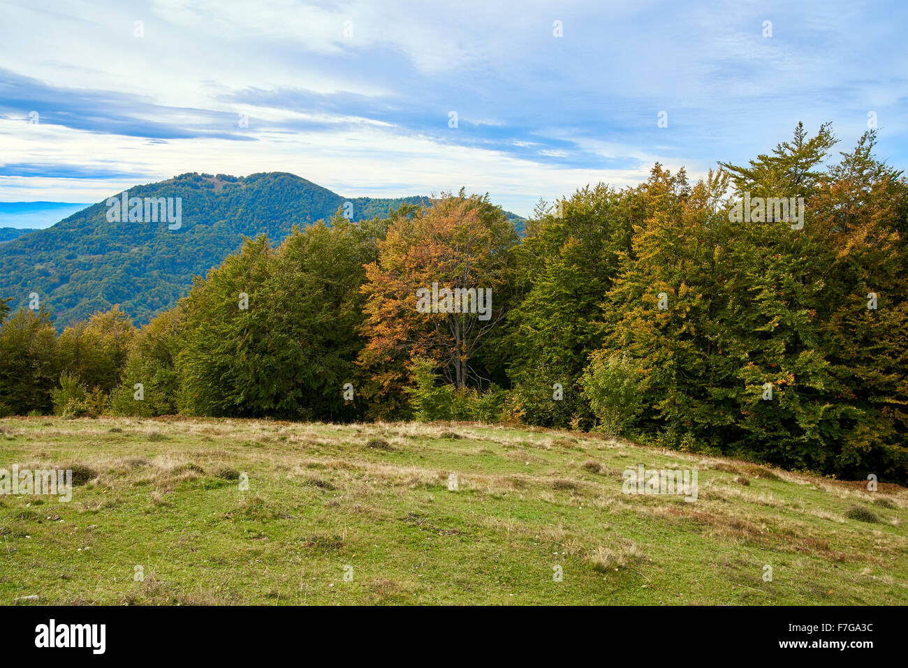 Mountain landscape with clouds and colorful trees. Alps Stock Photo - Alamy