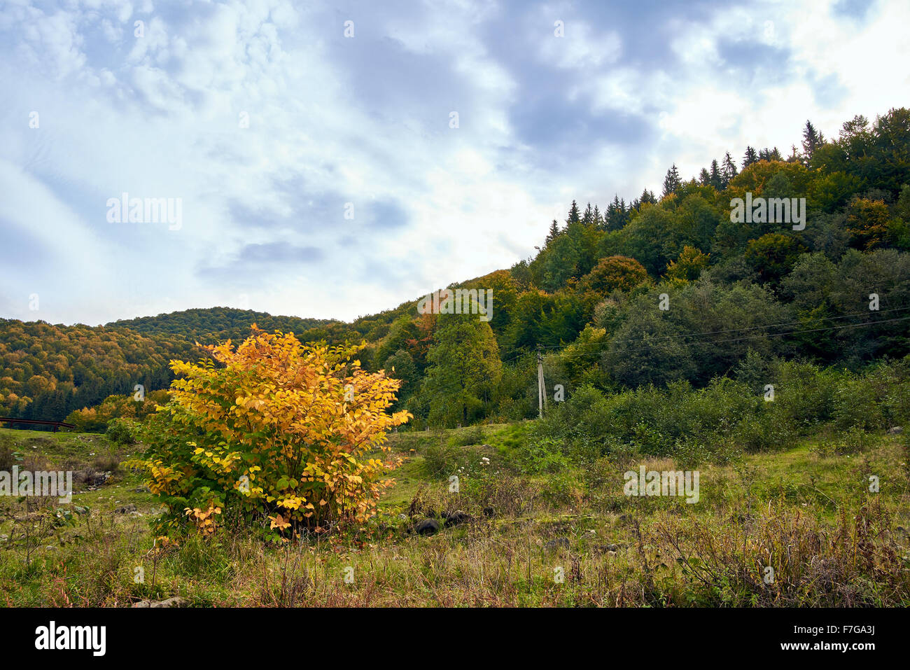 Mountain landscape with clouds and colorful trees. Alps Stock Photo - Alamy