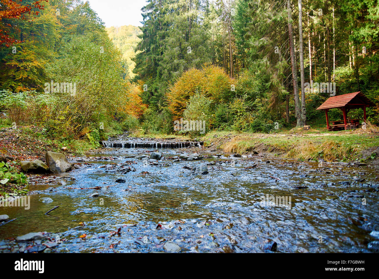 Rapids in autumn forest hi-res stock photography and images - Alamy