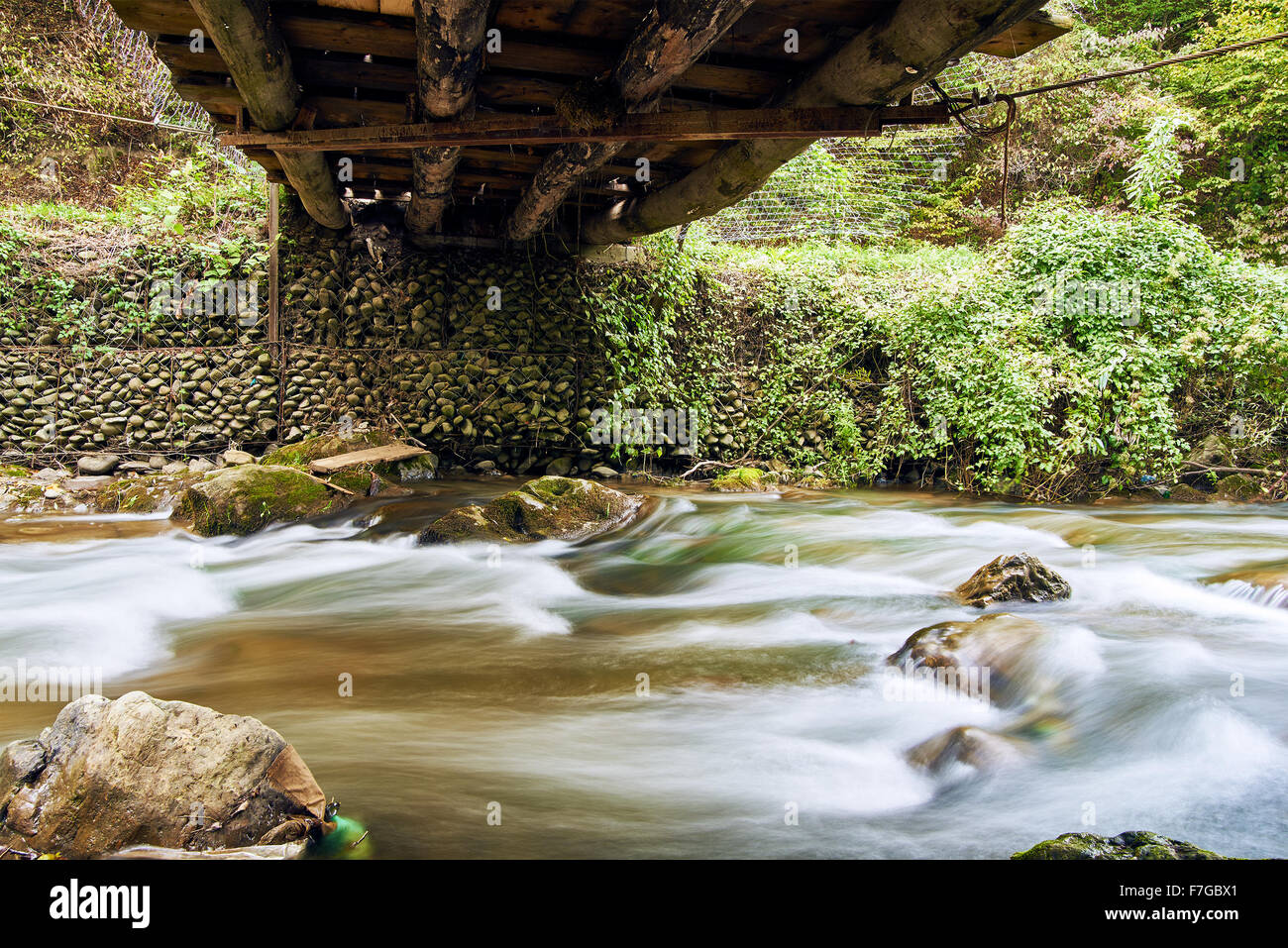 Stream under water lush hi-res stock photography and images - Alamy