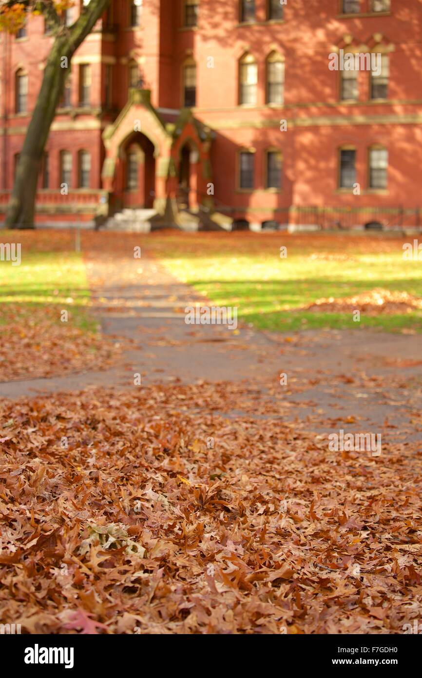 Harvard yard hi-res stock photography and images - Alamy