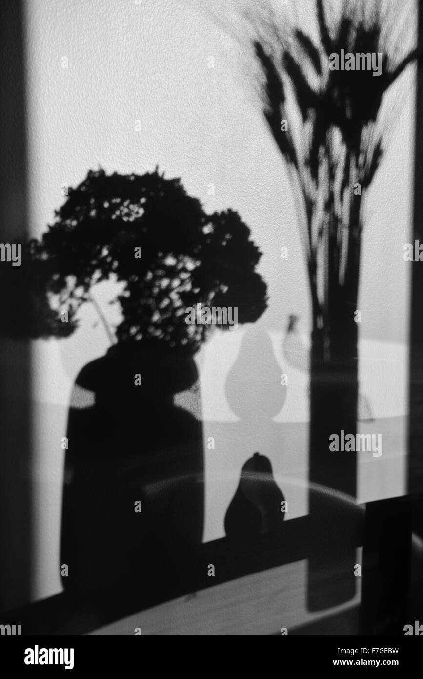 Shadow flowers hi-res stock photography and images - Alamy