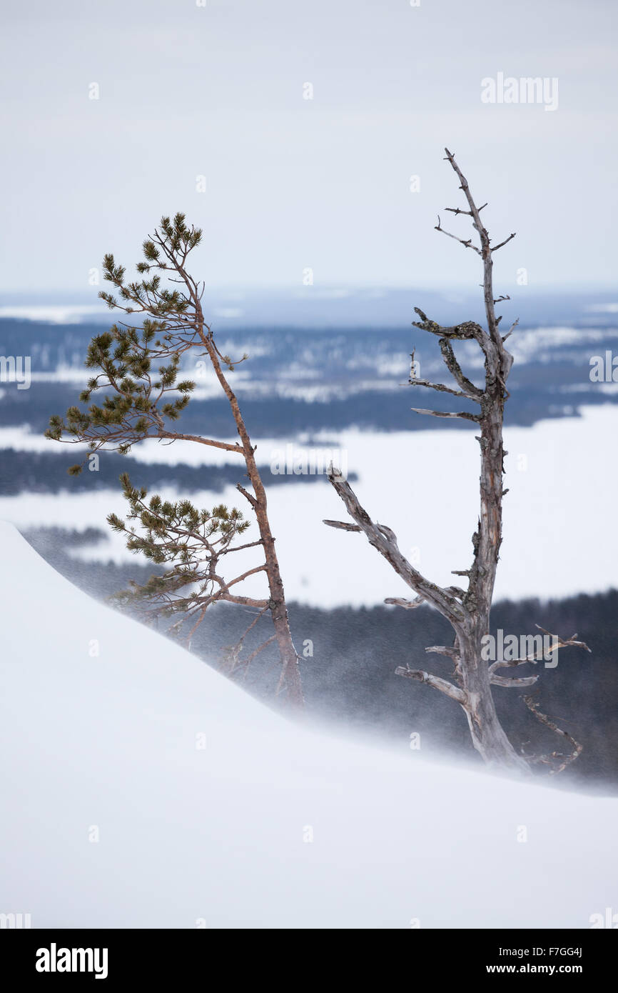 Harsh arctic environment hi-res stock photography and images - Alamy