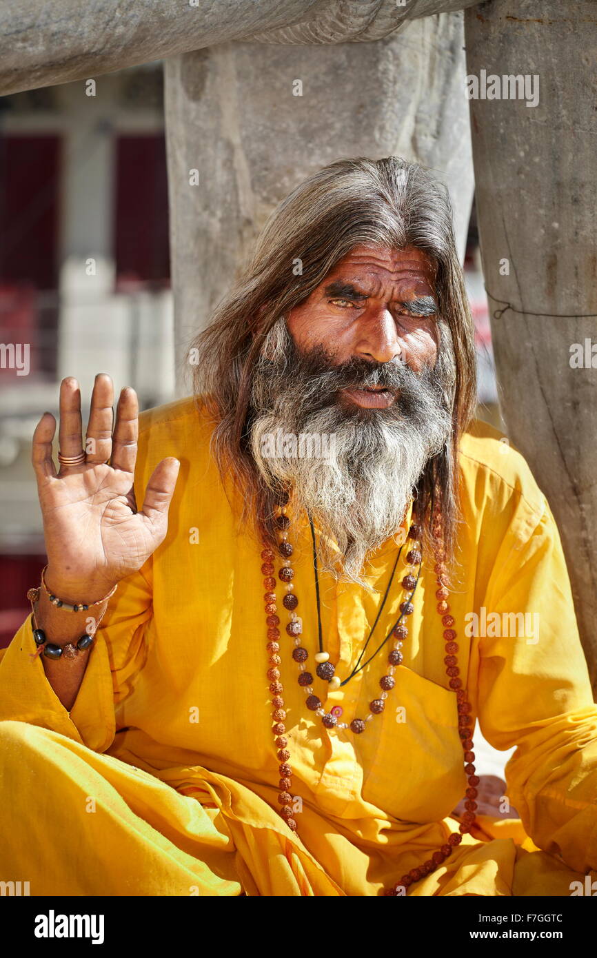 Portrait of Sadhu, India Hindu Holy Man, Udaipur, India Stock Photo - Alamy