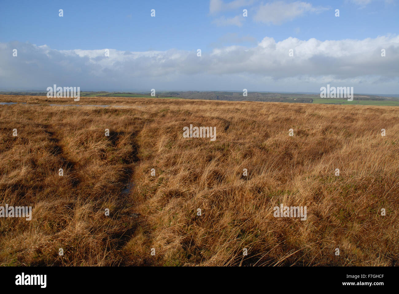 The moors in winter, Dartmoor National Park, Devon, England Stock Photo ...