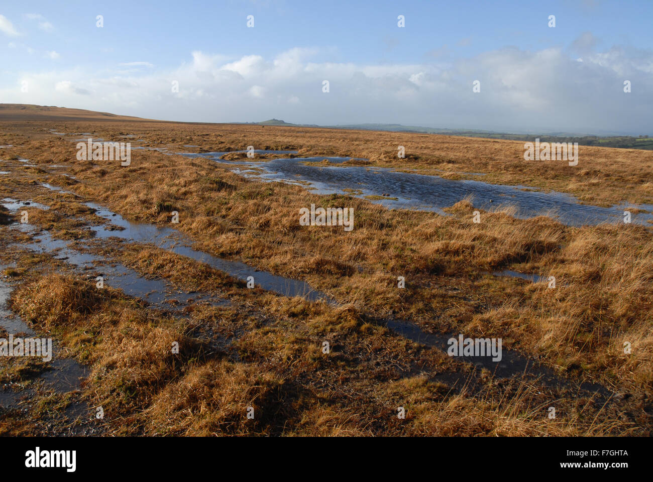 The moors in winter, Dartmoor National Park, Devon, England Stock Photo ...