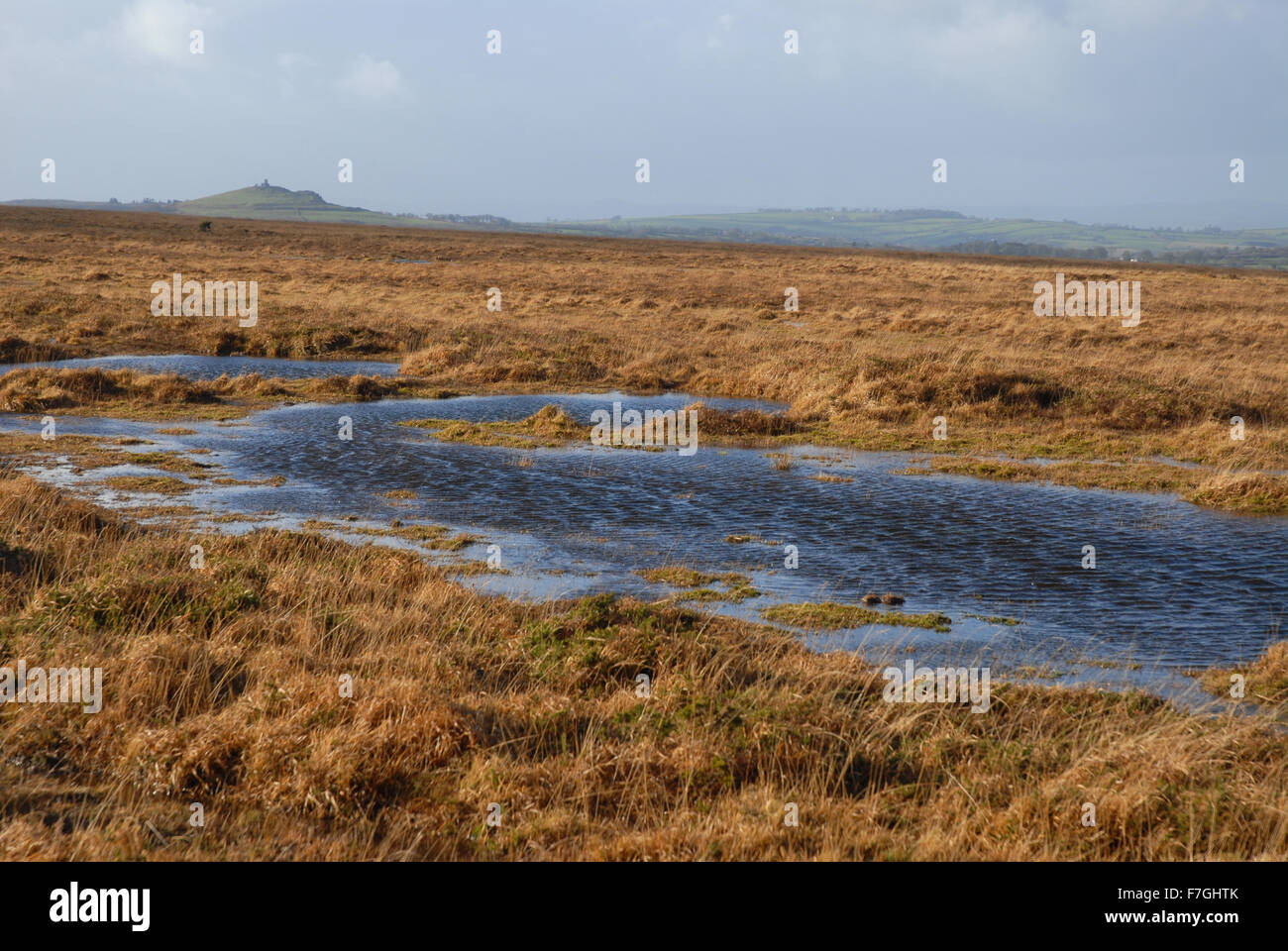 The moors in winter, Dartmoor National Park, Devon, England Stock Photo ...