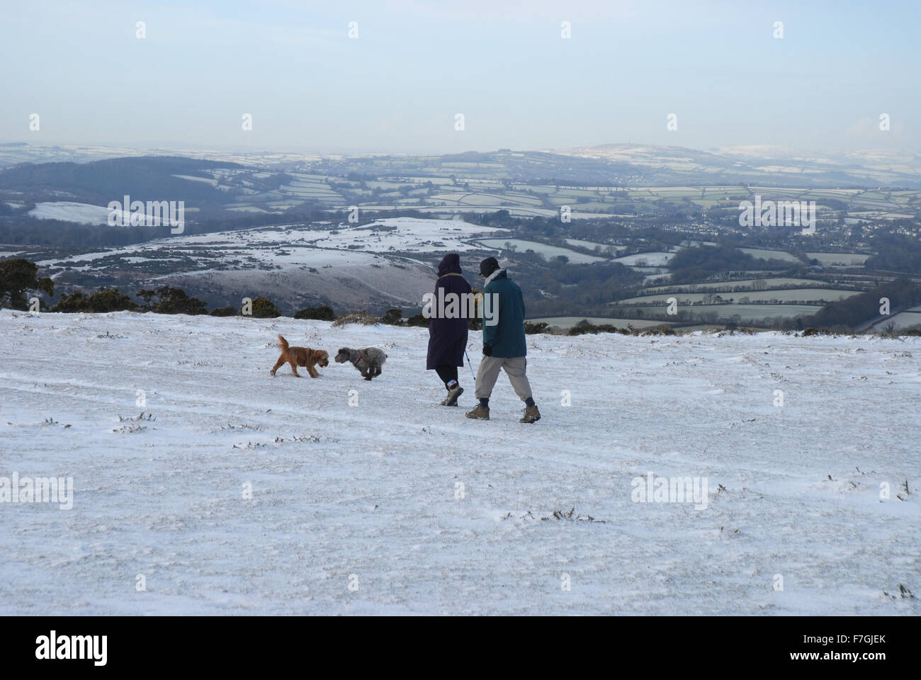 Uk two dogs on the moors hi-res stock photography and images - Alamy