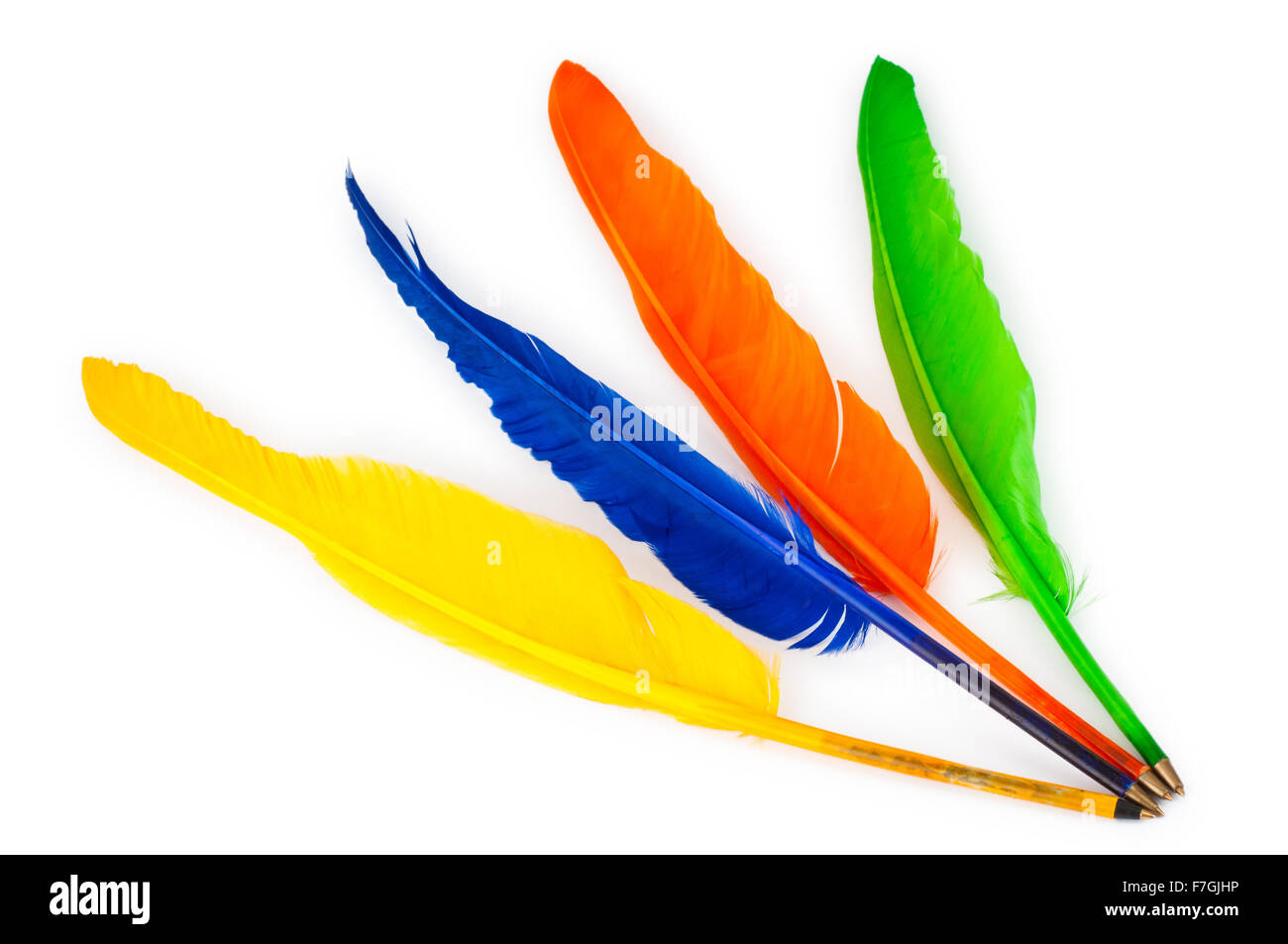 Writing feather isolated on the white background Stock Photo - Alamy