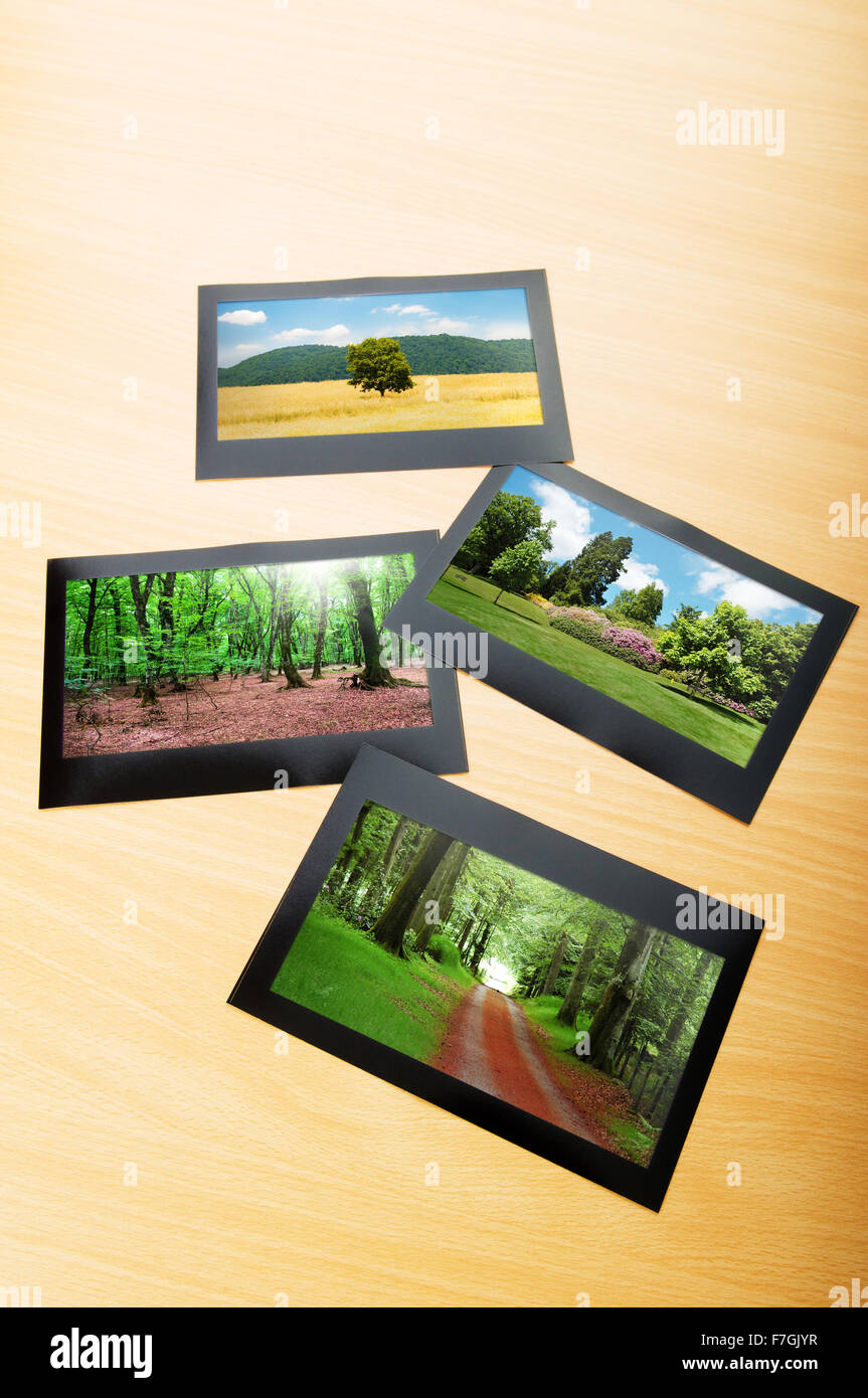 Forest on the picture frames Stock Photo - Alamy