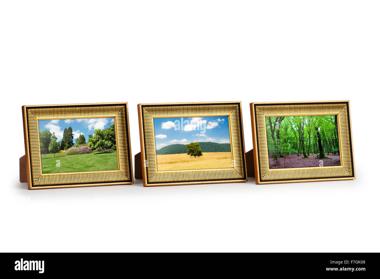 Lush green forest rural landscape Cut Out Stock Images & Pictures - Alamy