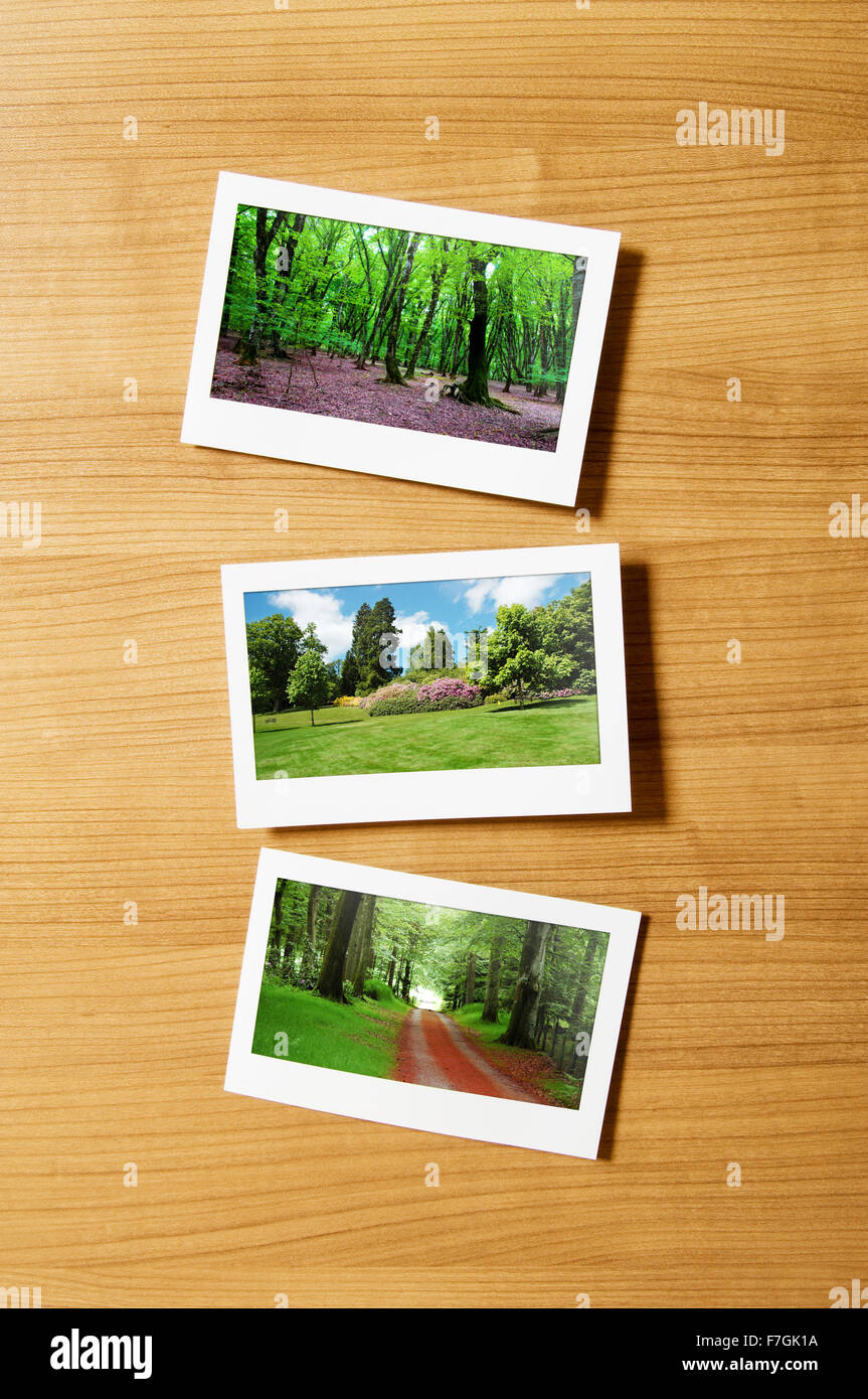 Forest on the picture frames Stock Photo - Alamy