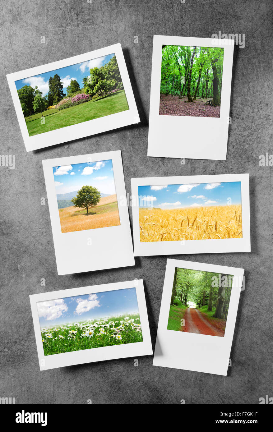 Forest on the picture frames Stock Photo - Alamy