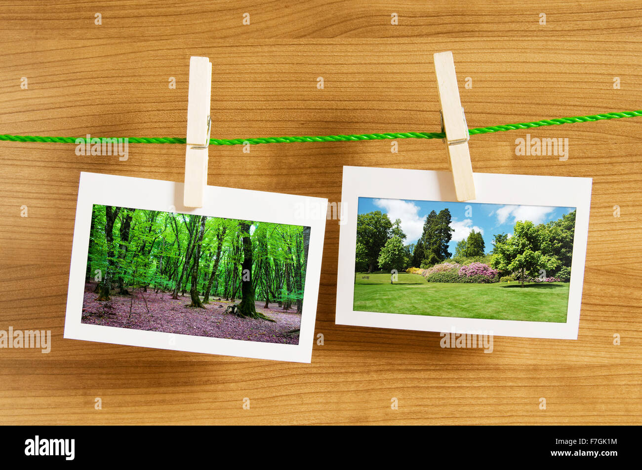 Forest on the picture frames Stock Photo - Alamy