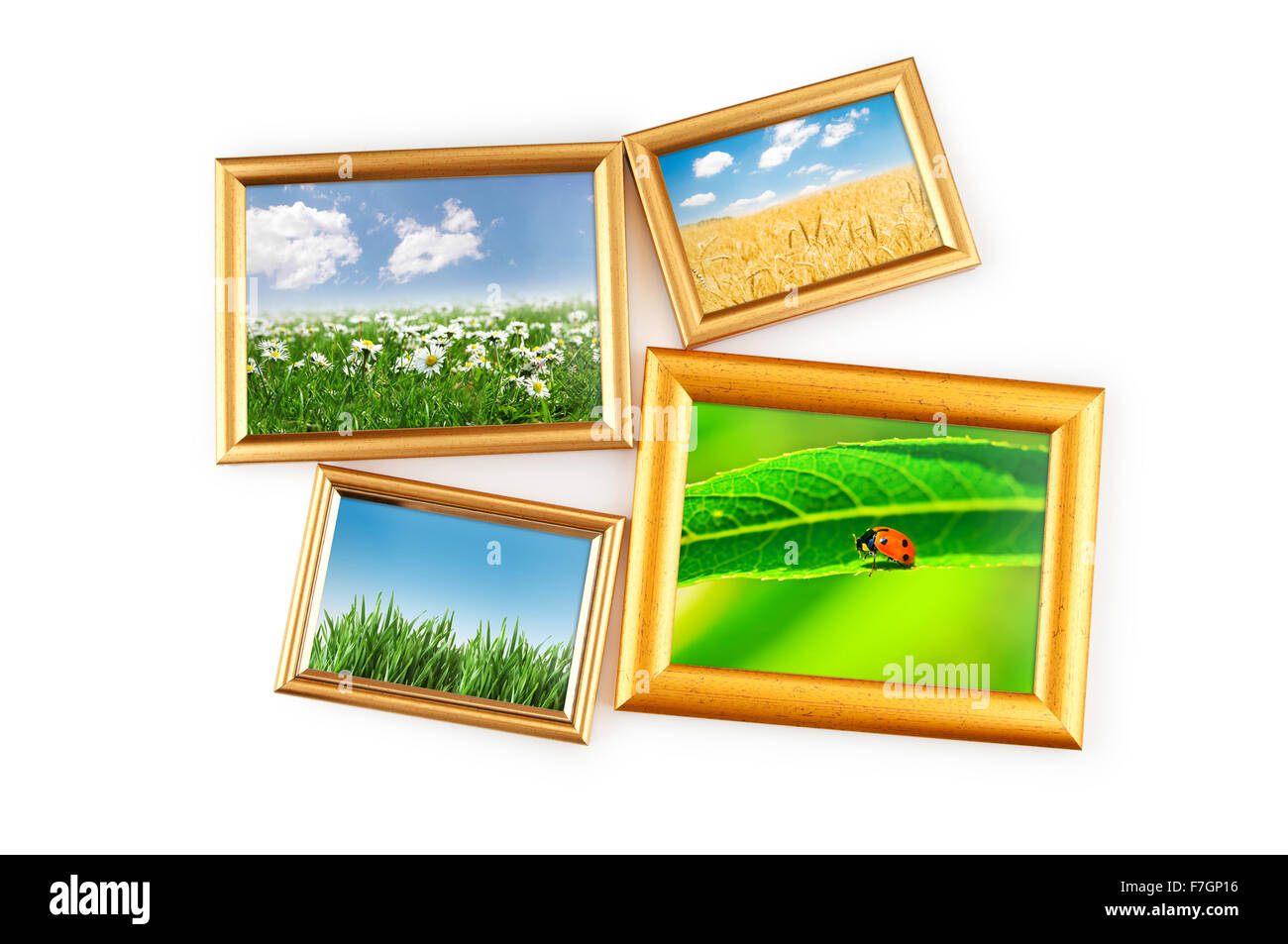 Nature photos in picture frames Stock Photo - Alamy