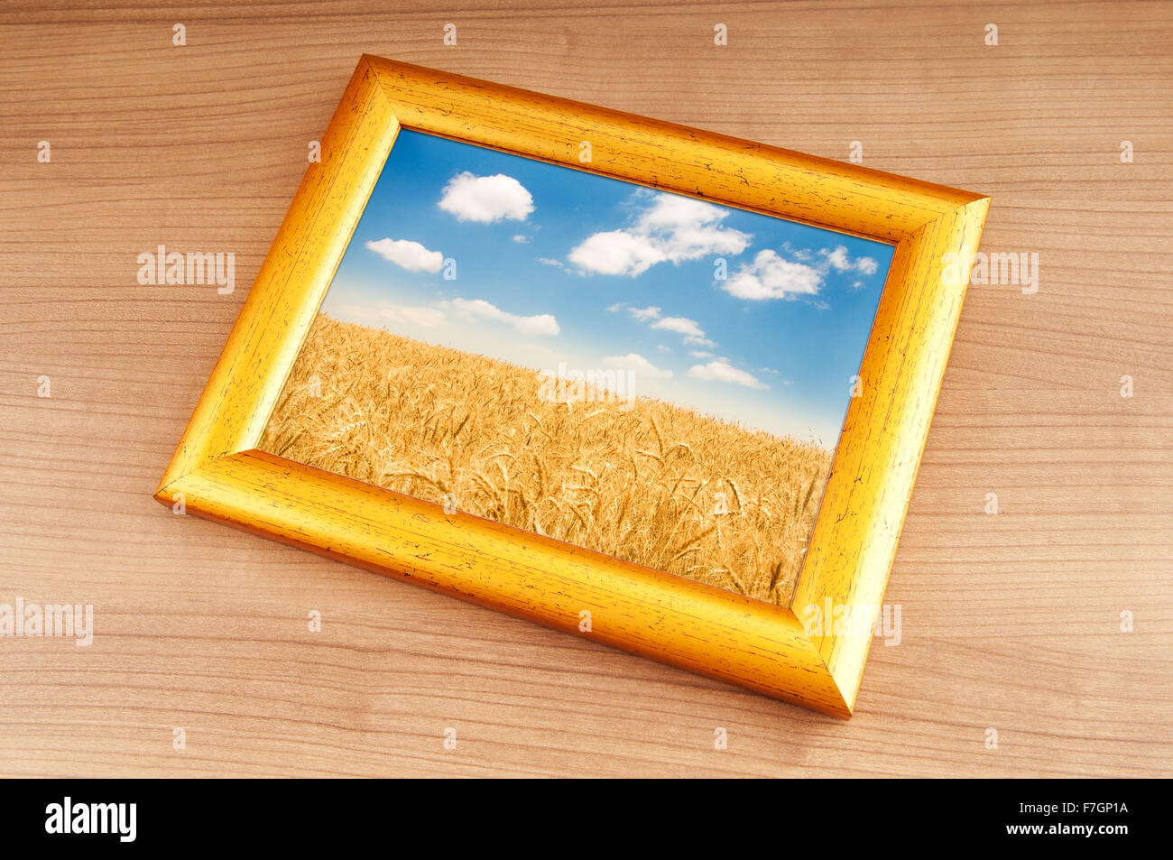 Wheat field in the picture frame Stock Photo - Alamy