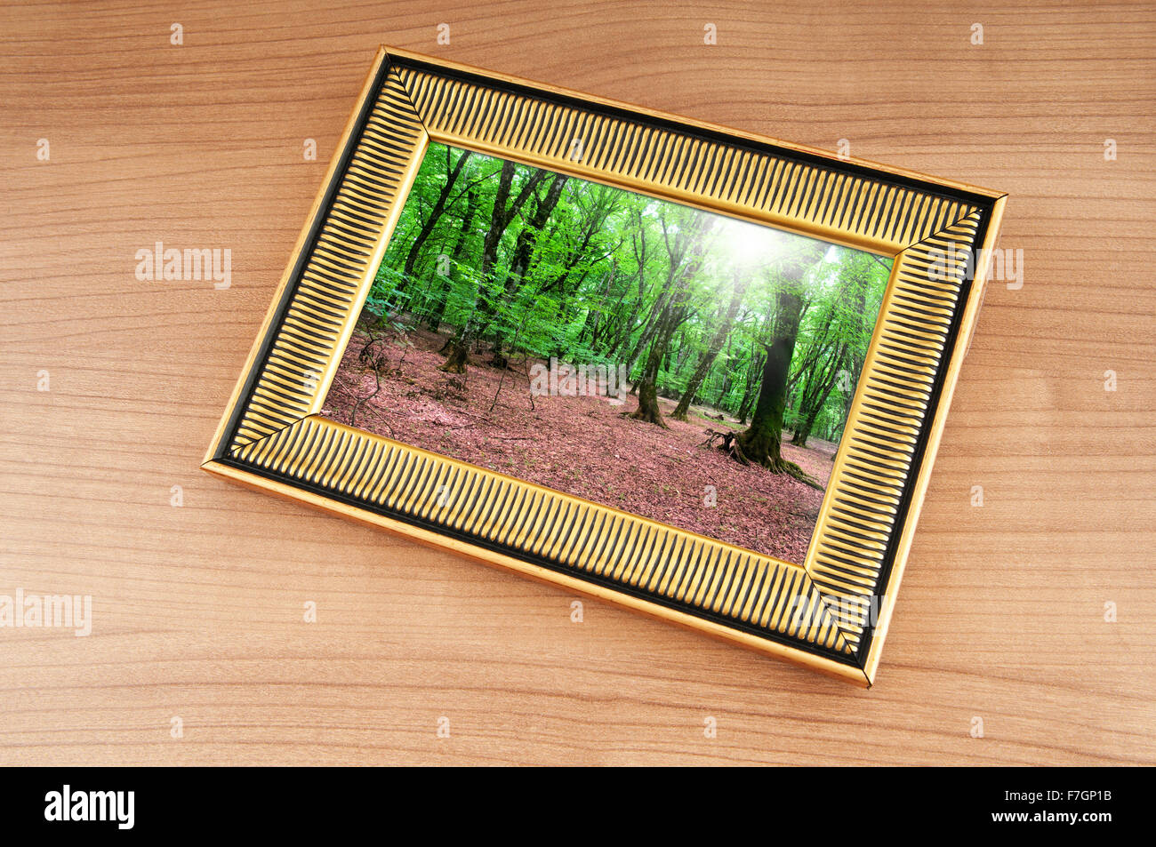 Forest on the picture frames Stock Photo - Alamy