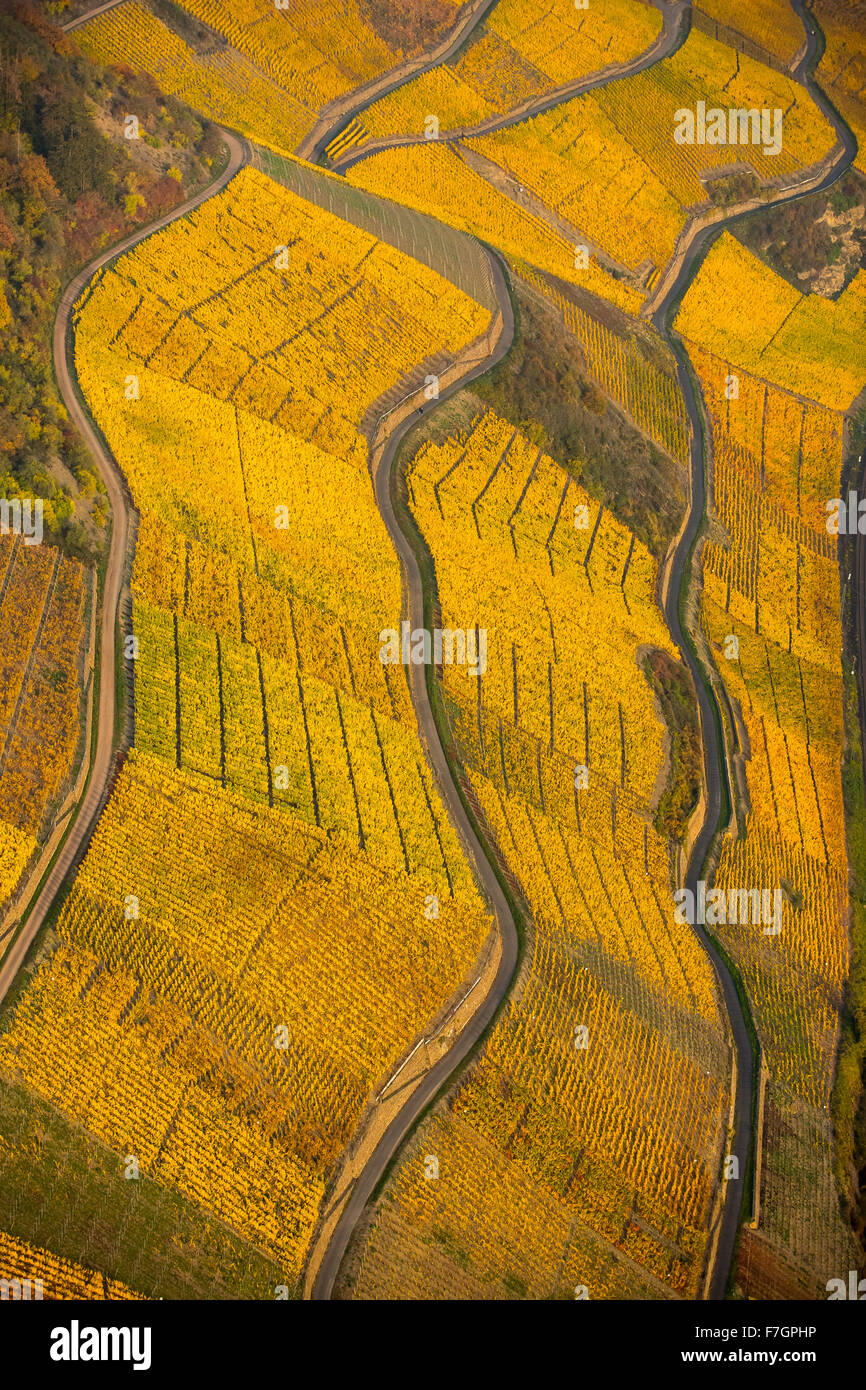 Left bank of rhine hi-res stock photography and images - Alamy