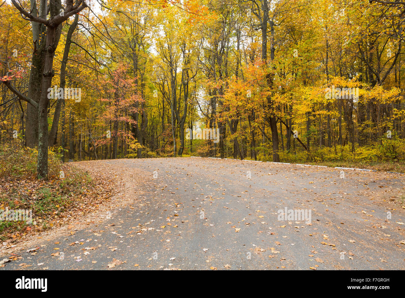 Fall foliage color hi-res stock photography and images - Alamy
