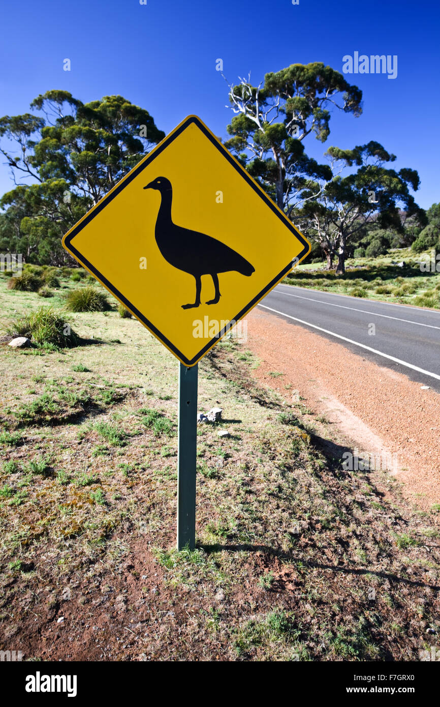Goose warning traffic sign hi-res stock photography and images - Alamy