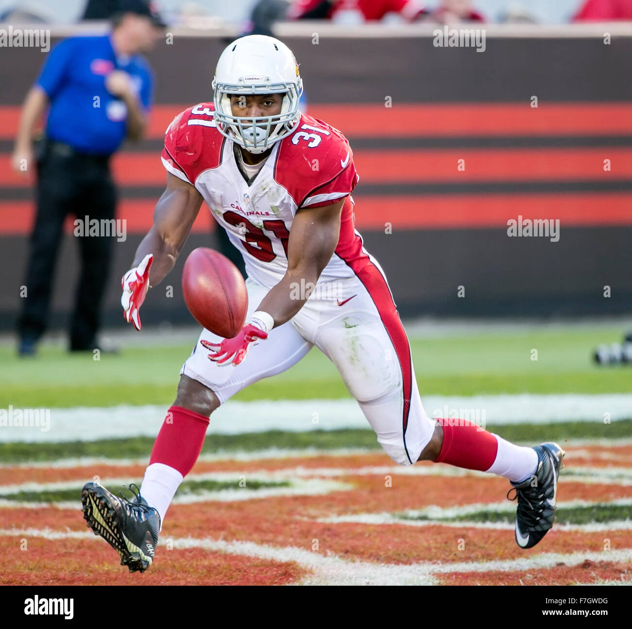 David johnson cardinals hi-res stock photography and images - Alamy