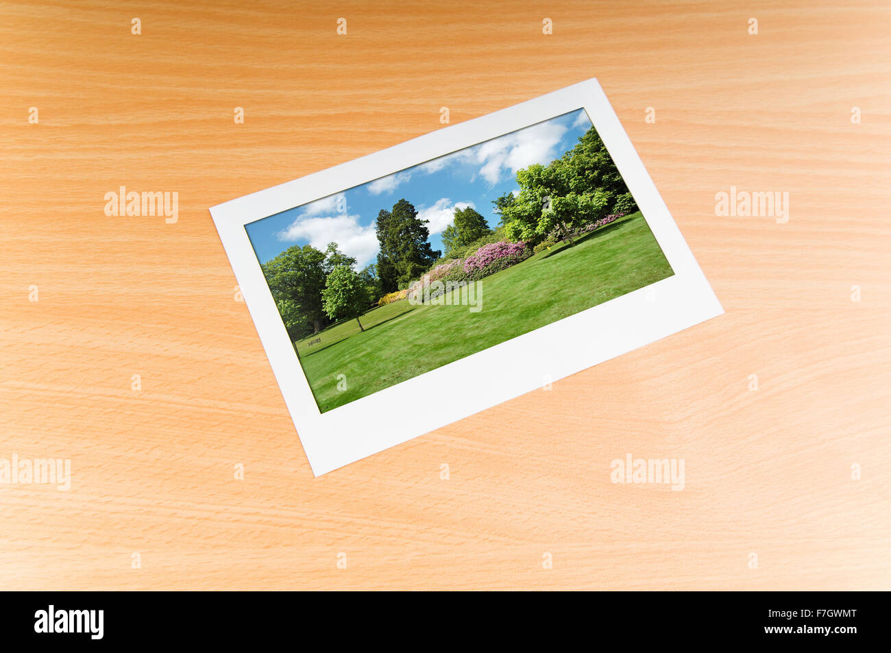 Picture frames with nature photos Stock Photo - Alamy