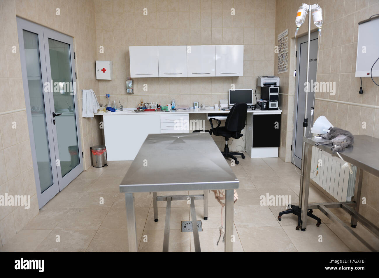 animal and pet surgery hospital room indoor with tools and instruments ...