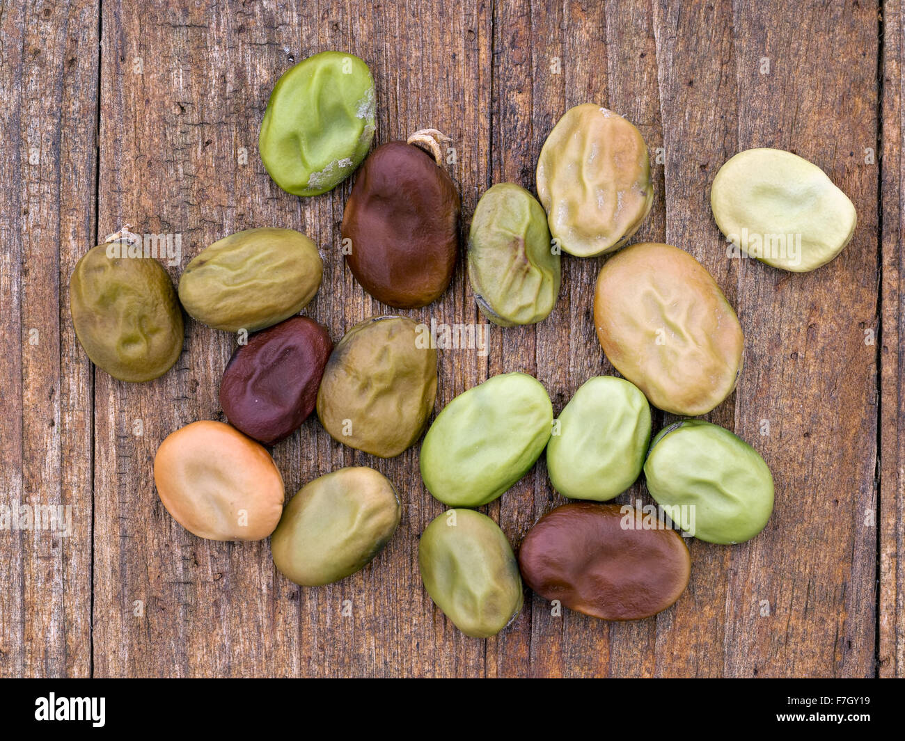 Bean mix hi-res stock photography and images - Alamy